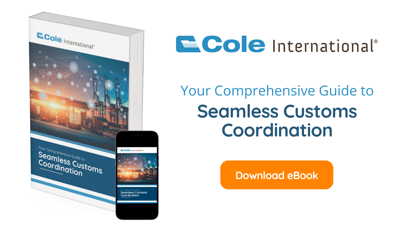 Your Comprehensive Guide to Seamless Customs Coordination